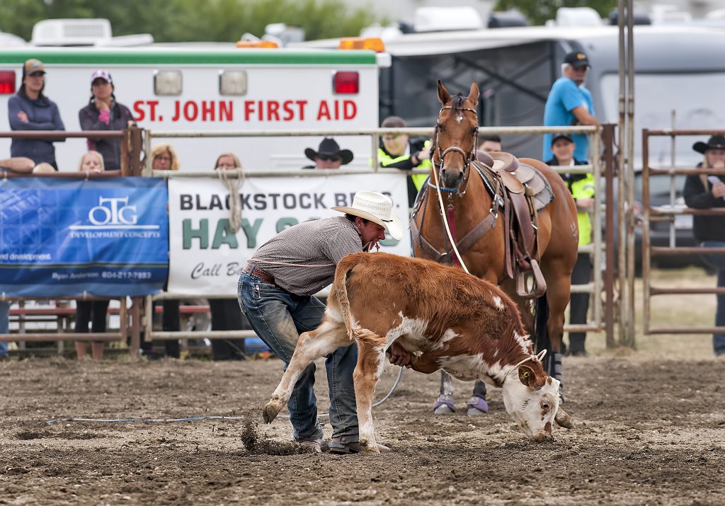 Let's end rodeo cruelty in Chilliwack - Vancouver Humane Society