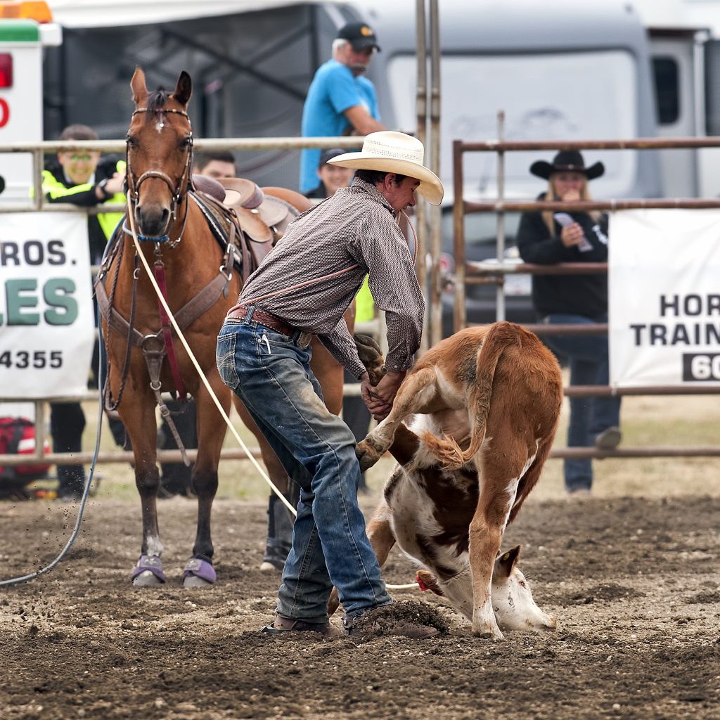 Let's end rodeo cruelty in Chilliwack - Vancouver Humane Society