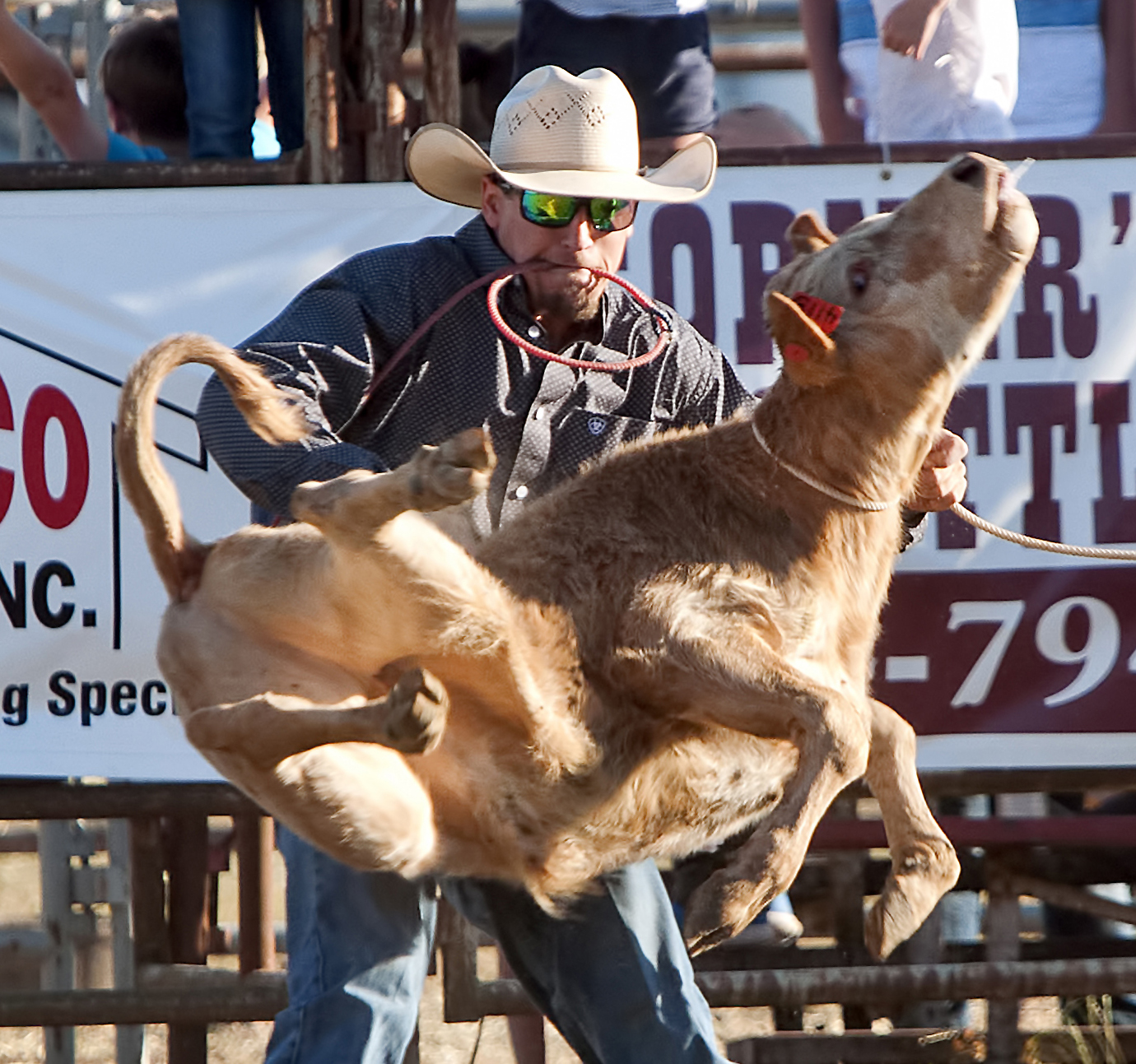 Let's end rodeo cruelty in Chilliwack - Vancouver Humane Society